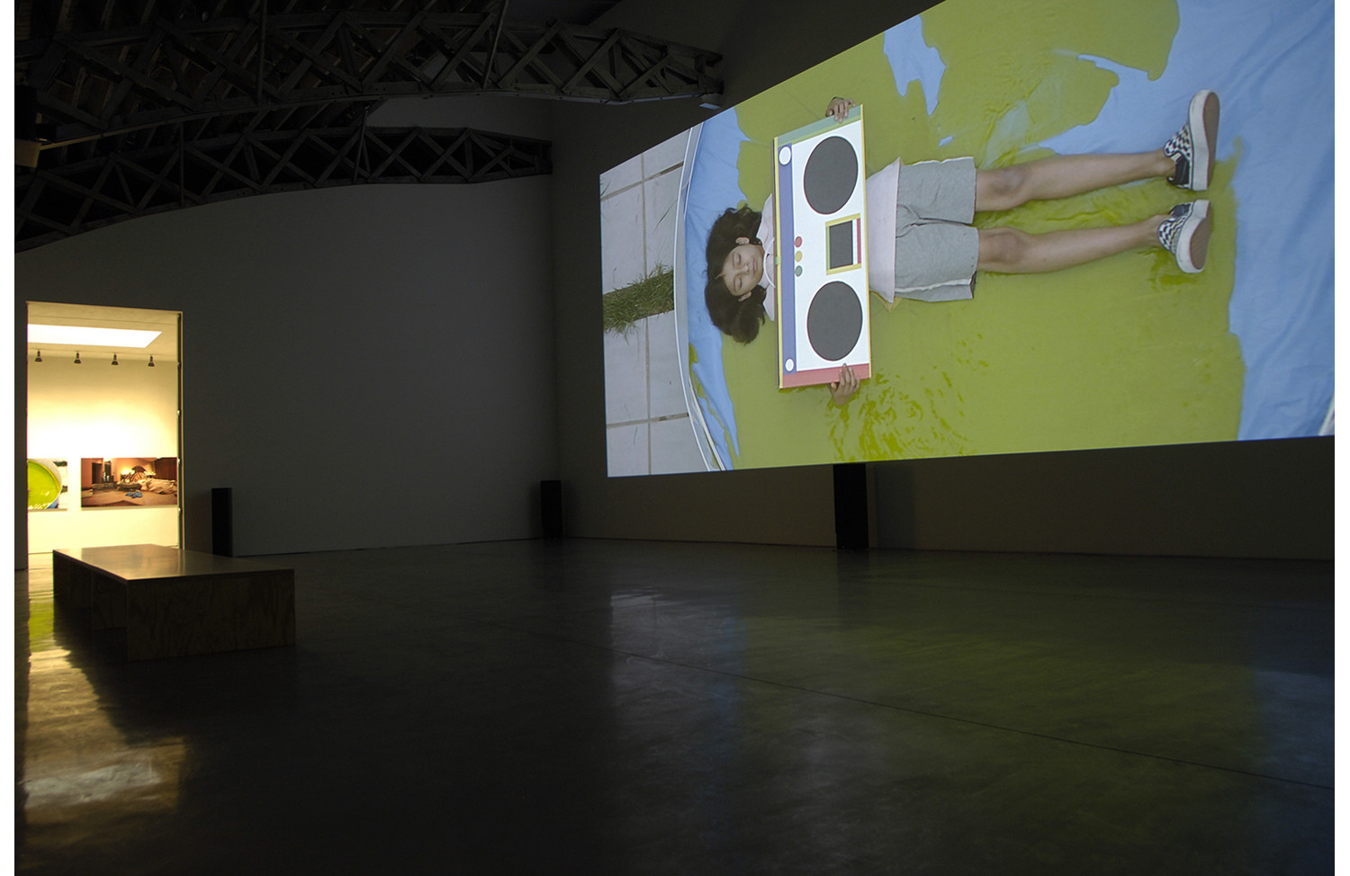 Luis Gispert - Mary Boone Gallery