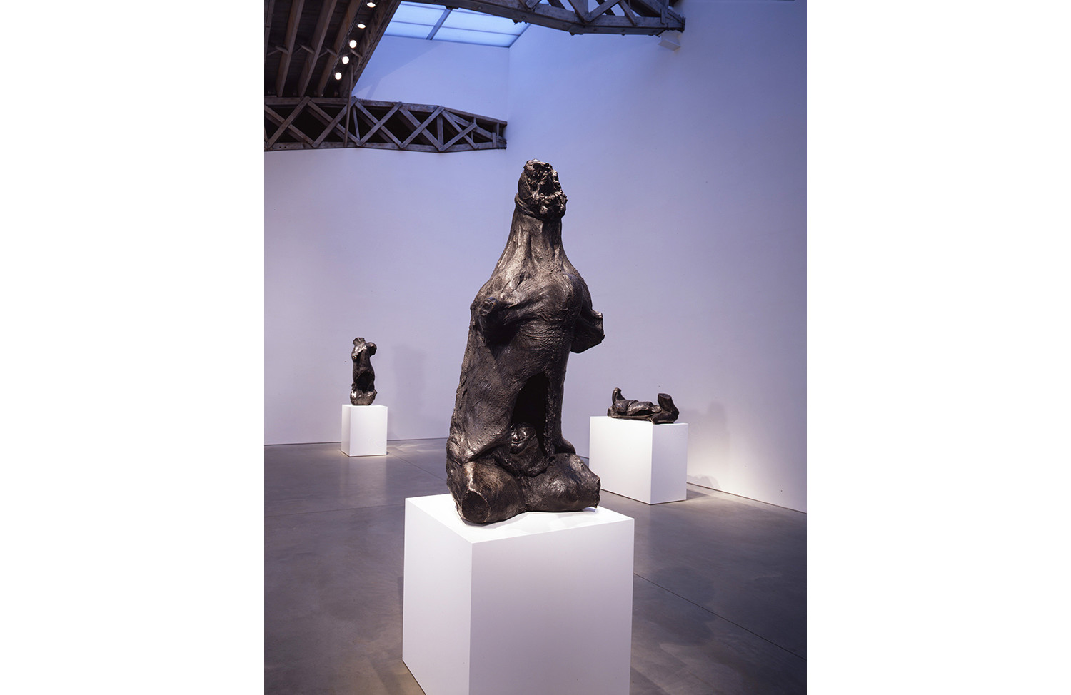 Marc Quinn - Mary Boone Gallery